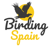 BIRDING SPAIN